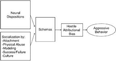The Model Of The Development Of Hostile Attributional Biases The Model