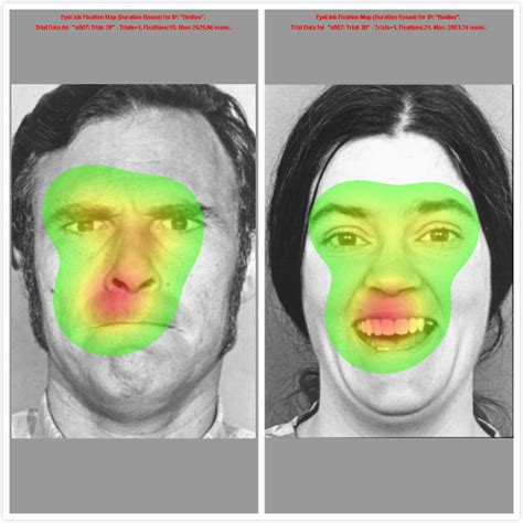 Eye Tracking Neurobiological Lab For Learning And Development
