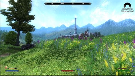Beautiful Grass And Landscpae At Oblivion Nexus Mods And Community