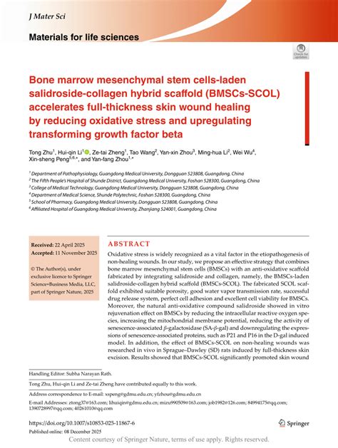Bone Marrow Mesenchymal Stem Cells Laden Salidroside Collagen Hybrid