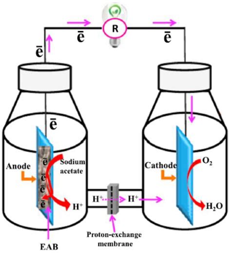 Graphite Electrodes Microbial Fuel Cell At Jennifer Pardue Blog