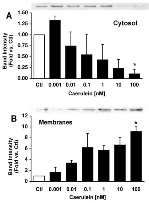Vacuolar Atpase Regulates Zymogen Activation In Pancreatic Acini Pmc