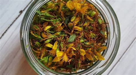 C Mo Se Hace Una Tintura Uso Interno Y Uso Externo