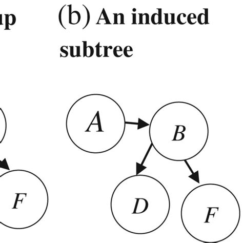 Different Types Of Trees A A Tree B A Rooted Tree C An Ordered