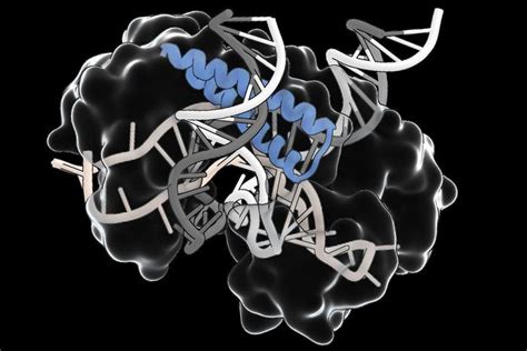 The New Tigr Tas Gene Editing System Neurologica Blog