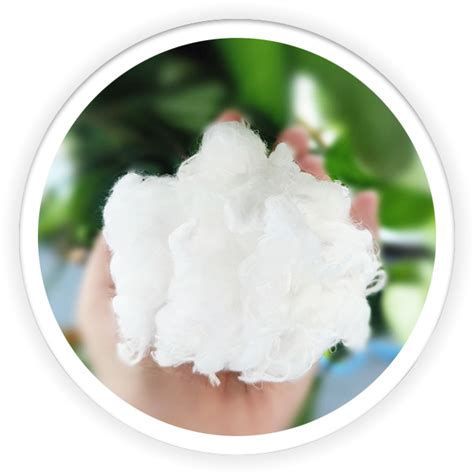 Polyester Easy Cationic Dyeable Fiber