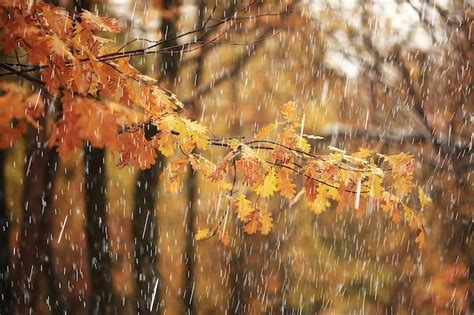 Premium Photo Bad Weather Rain Wind Autumn Concept Background