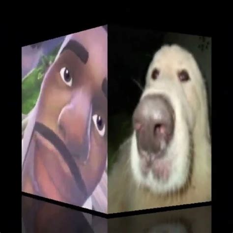 Bingleton Coochiesmith Youtube