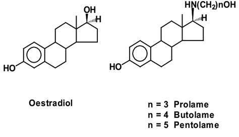 Structural Formulas Of 17b Oestradiol E 2 And The Download Scientific Diagram