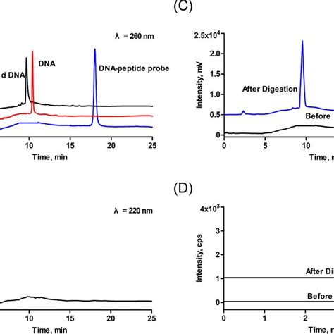 Hplc Chromatograms Before And After Dna And Gdkavlgvdpfr Conjugation At