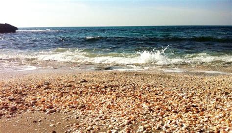 חוף הבונים ליאור גולדברג Outdoor Beach Water