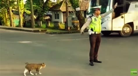 Video Watch This Kind Hearted Cop Doing Something Really Nice For A