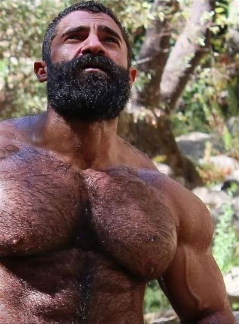 Discover 530 Bodybuilding And Gay Muscular Hairy Men And Hairy Men
