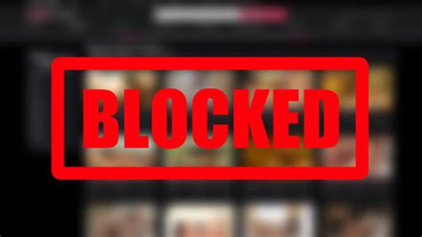 Pta Blocked 65 Million Porn Sites Indian Misinformation Campaigns