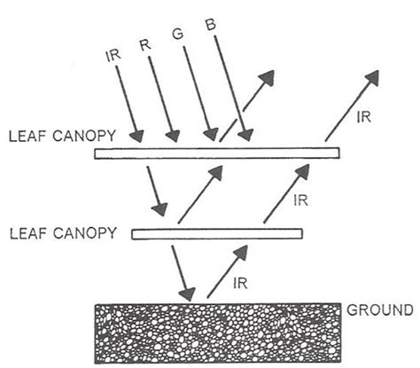 Gis Ag Maps Why Nir For Vegetation