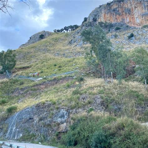 Paura A Militello Rosmarino Masso Di Grosse Dimensioni Rimane