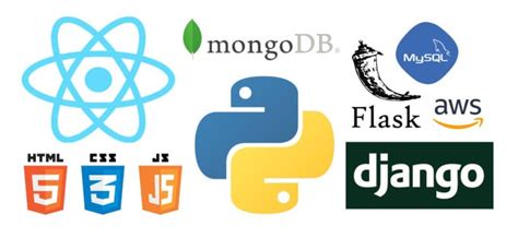 my journey into tech embracing the unknown and conquering challenges