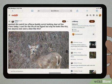 All About Not Deer Appalachias Infamous Cryptid