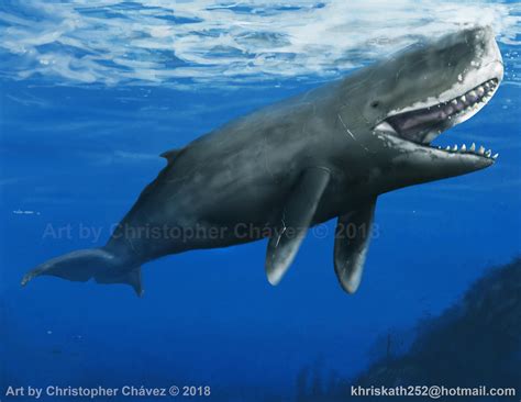 Livyatan Melvillei By Christopher252 On Deviantart