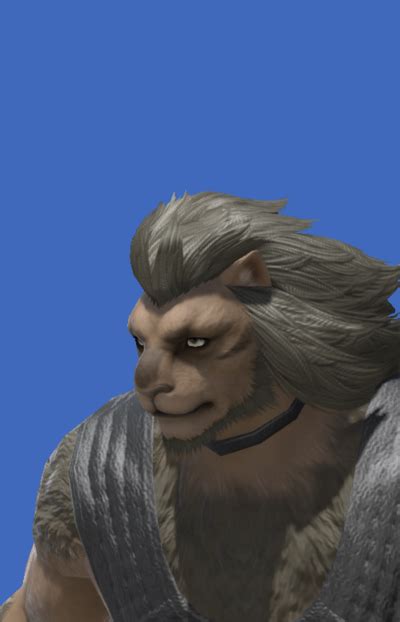 Militia Armet Gamer Escapes Final Fantasy Xiv Ffxiv Ff14 Wiki
