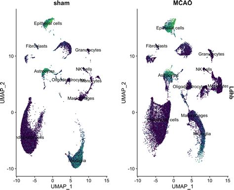 Integrated Analysis Of Single Cell‐rna Sequencing And Mendelian