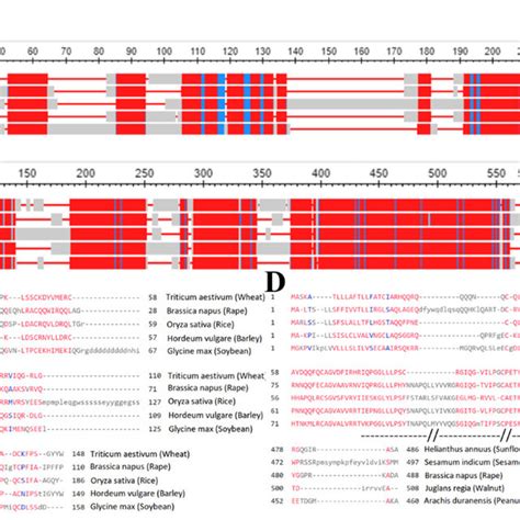 Demonstrates A Remarkable Degree Of Similarity In Protein Profiles