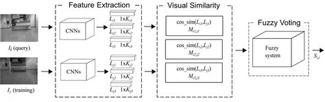Schematic Diagram Illustrating The Process Of Determining The Visual Download Scientific
