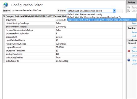 Ii Server Environment Settings For Deploy Angular Radzen