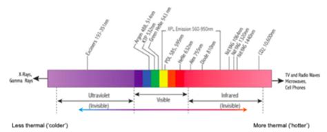 Intro To Lmp Flashcards Quizlet