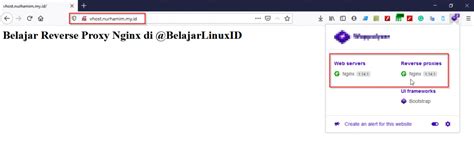 Cara Konfigurasi Nginx Reverse Proxy Standalone Belajar Linux Id