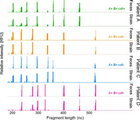 Simultaneous Detection And Ribotyping Of Clostridioides Difficile And Toxin Gene Detection