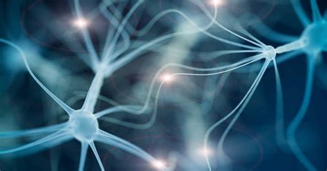 The Best Tinnitus Test 2025 Neuromed Tinnitus Clinic The Best Tinnitus Test 2025 Neuromed Tinnitus Clinic