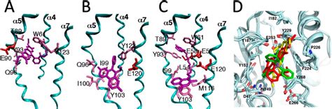 Qacr And Bmrr Drug Binding Regions In Complex With Ligands A−c Qacr