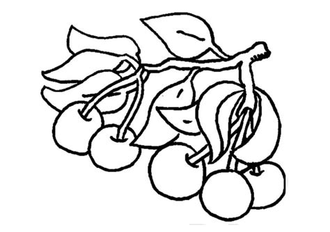 Вишня раскраска картинки и рисунки на рабочий стол бесплатно