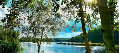 Ecosystem Functions Vs Ecosystem Services 13 Examples