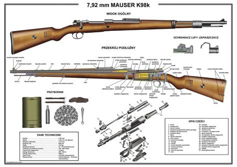 Understanding The Anatomy Of A Bolt Action Rifle