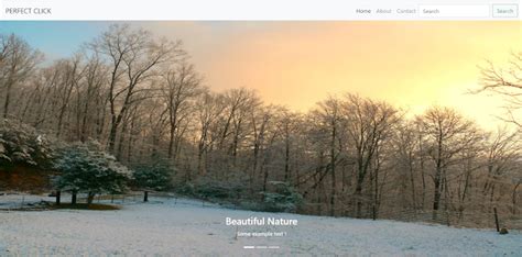 responsive dynamic website sandipan das