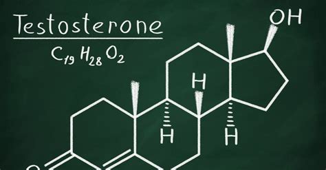 Cara Alami Meningkatkan Hormon Testosteron Dalam Tubuh