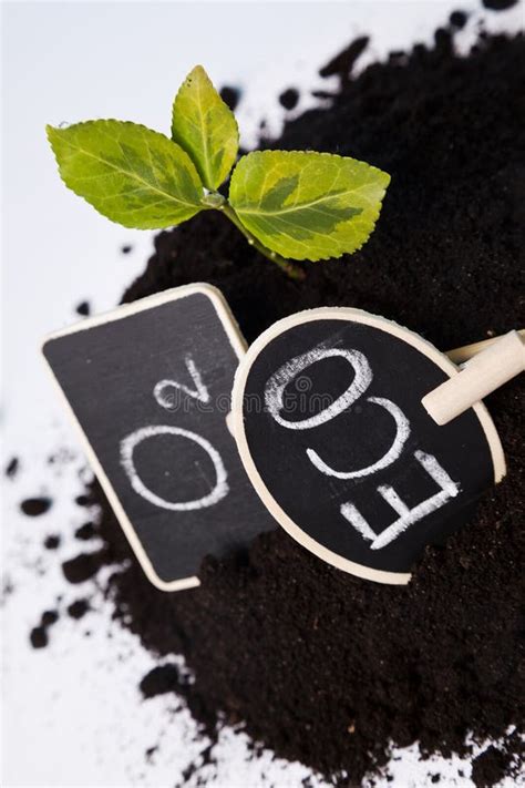 Global Environment Problems Solution Infographics Stock Vector Illustration Of Gain Energy