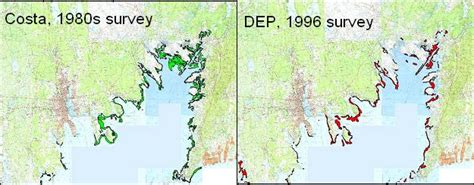 Eelgrass Historical Buzzards Bay National Estuary Program