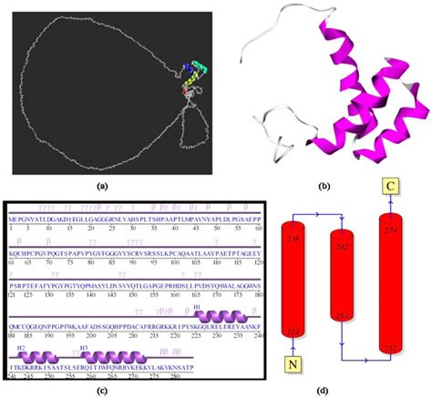 Computational Modeling Of Complete Hoxb13 Protein For Predicting The Functional Effect Of Snps