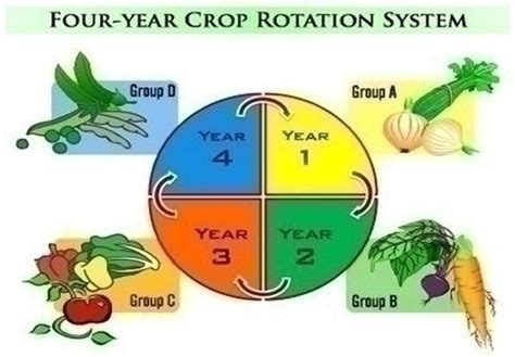 What Is Crop Rotation