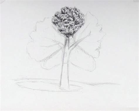 How To Draw A Tree With Leaves In A Surprisingly Familiar Way Let S Draw Today
