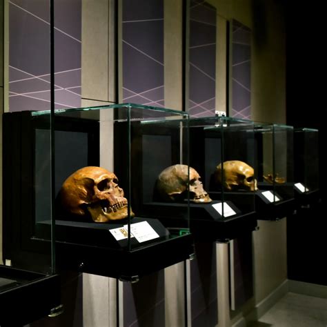 通识中国 当代中国