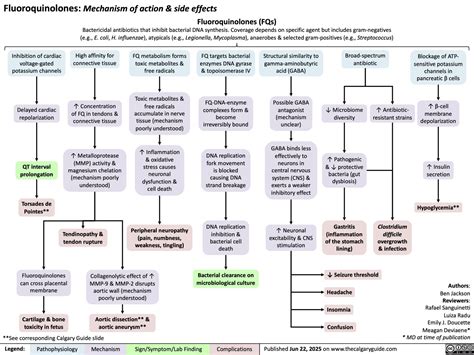 Fluoroquinolones Calgary Guide