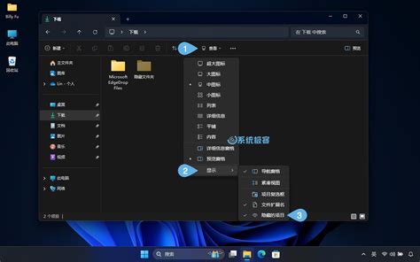Windows 11 如何显示隐藏文件夹？原理与实操指南 系统极客