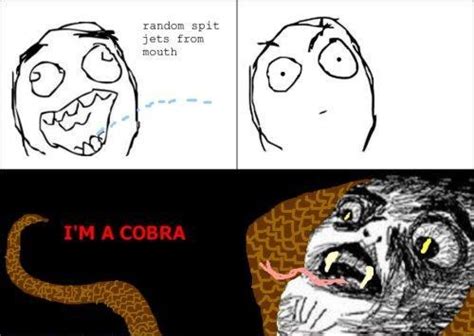 Kobra Memes Page 5 Cobra Memes Photos Download Free High Quality