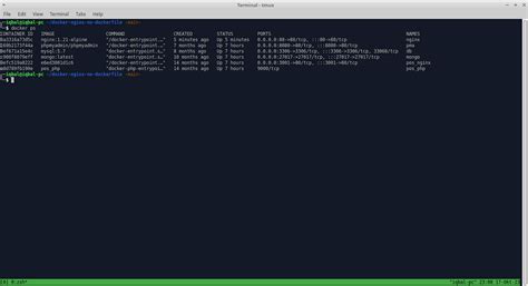 Membangun Layanan Web Server Dengan Nginx Dan Docker Tanpa Dockerfile