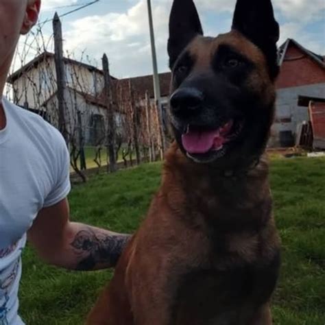 Martin Šebek Sebekmartin95 • Threads Say More