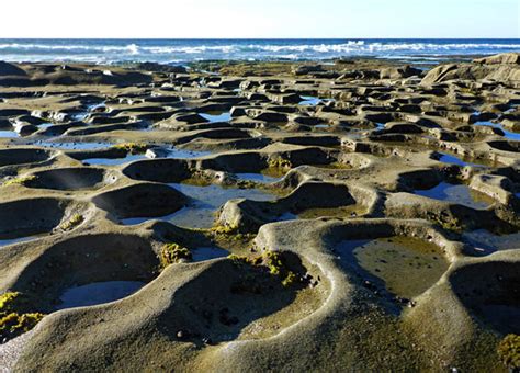 La Jolla Tide Pools San Diego California